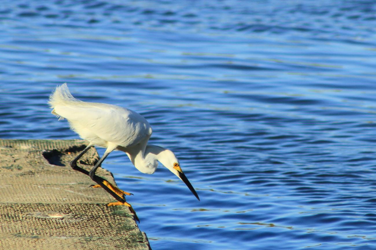 Montevideo Rural y Natural | Descubri Montevideo