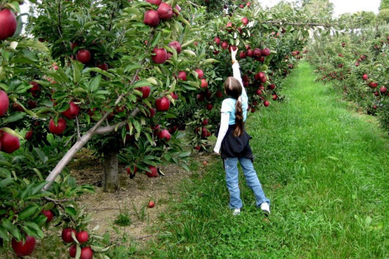 La Macarena “Al final del Humedal" | Descubri Montevideo