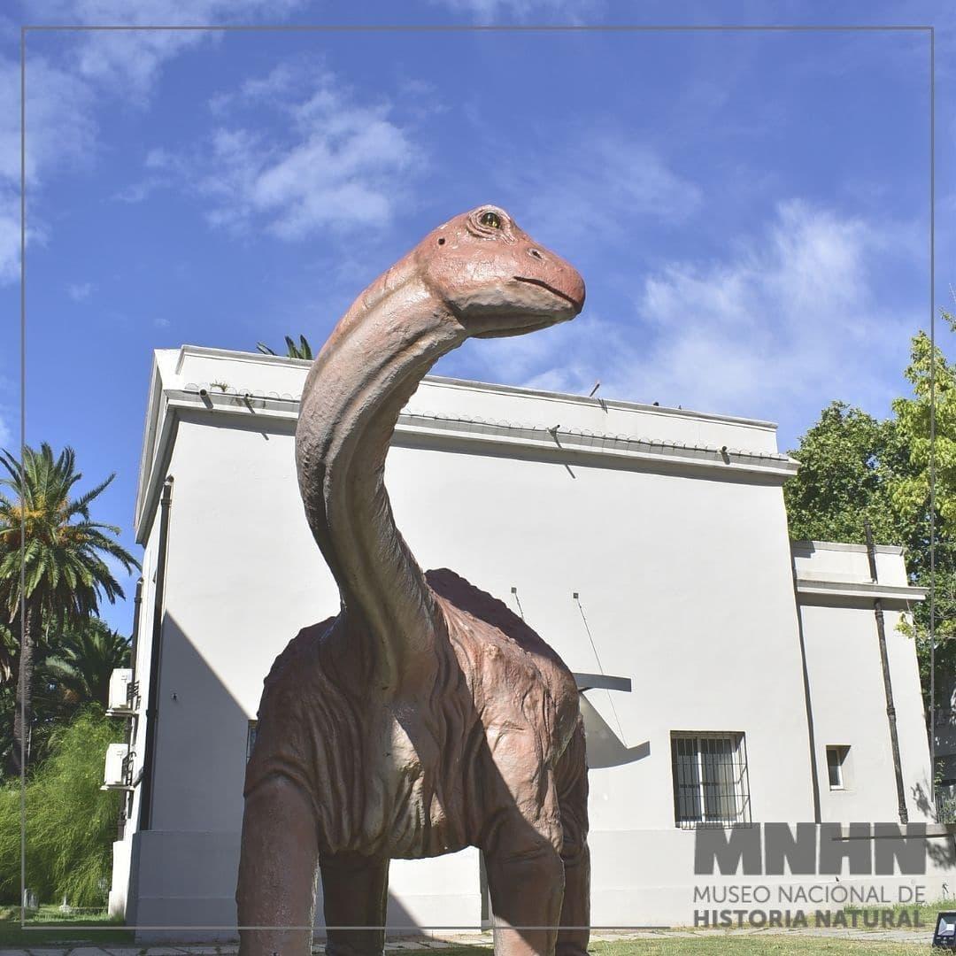 Museo Nacional de Historia Natural | Descubri Montevideo